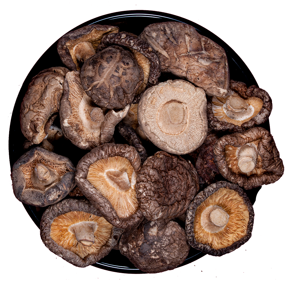 Shitake Hongo Entero Deshidratado - Sir Neko