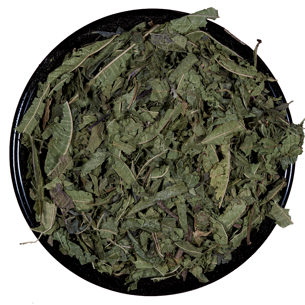 Cedron en Hojas - Sir Neko