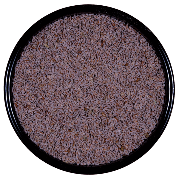 Zaragatona – Psyllium Semilla Entera - Sir Neko
