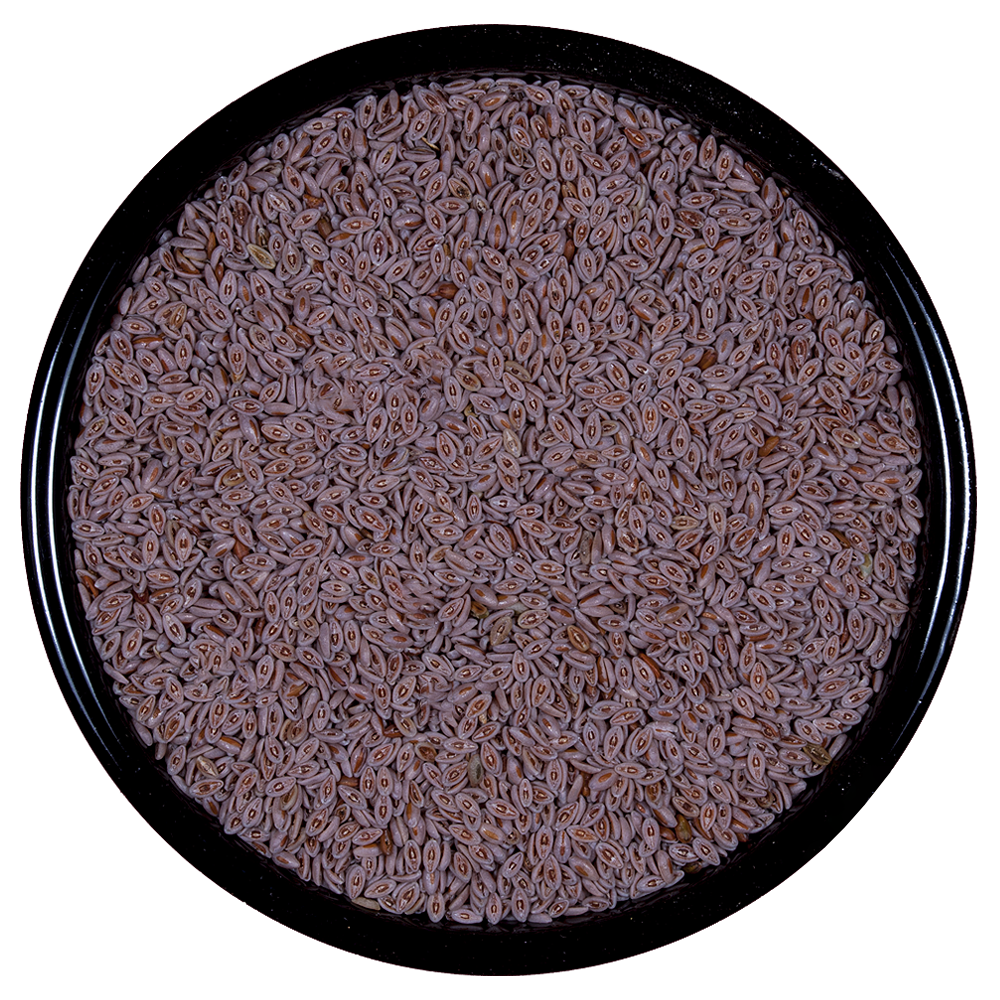 Zaragatona – Psyllium Semilla Entera - Sir Neko