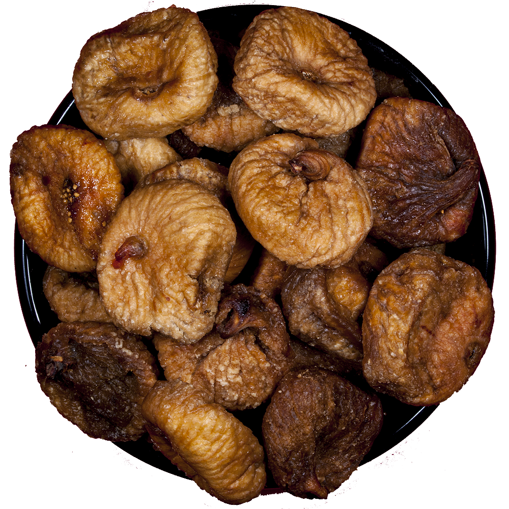 Higo Turco Grande - Sir Neko